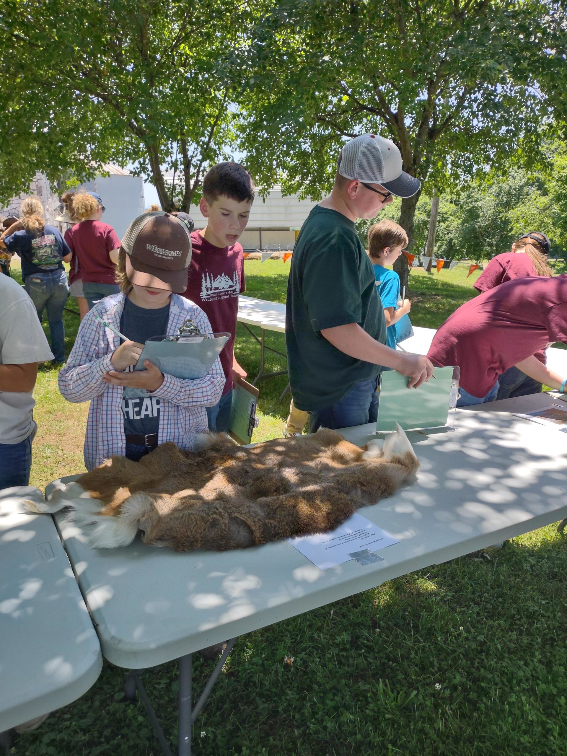 4-H Judging Teams and Competitions | Hawkins County